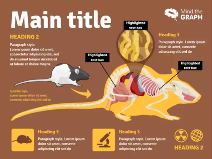 Best Free Infographic Maker for Science | Mind the Graph